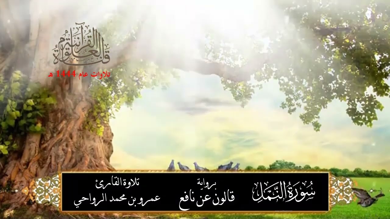 سورة النمل برواية قالون عن نافع المدني تلاوة القارئ عمرو بن محمد
