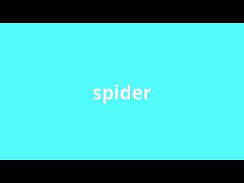 what is the meaning of spider
