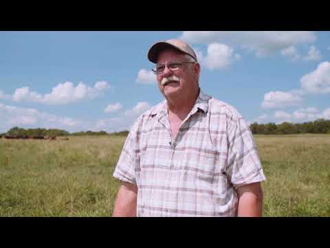 Pasture Project Farmer Profile: Ted Krauskopf, Hickory Flat Cattle Company