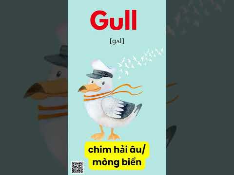 Từ vựng loài chim bằng tiếng Anh