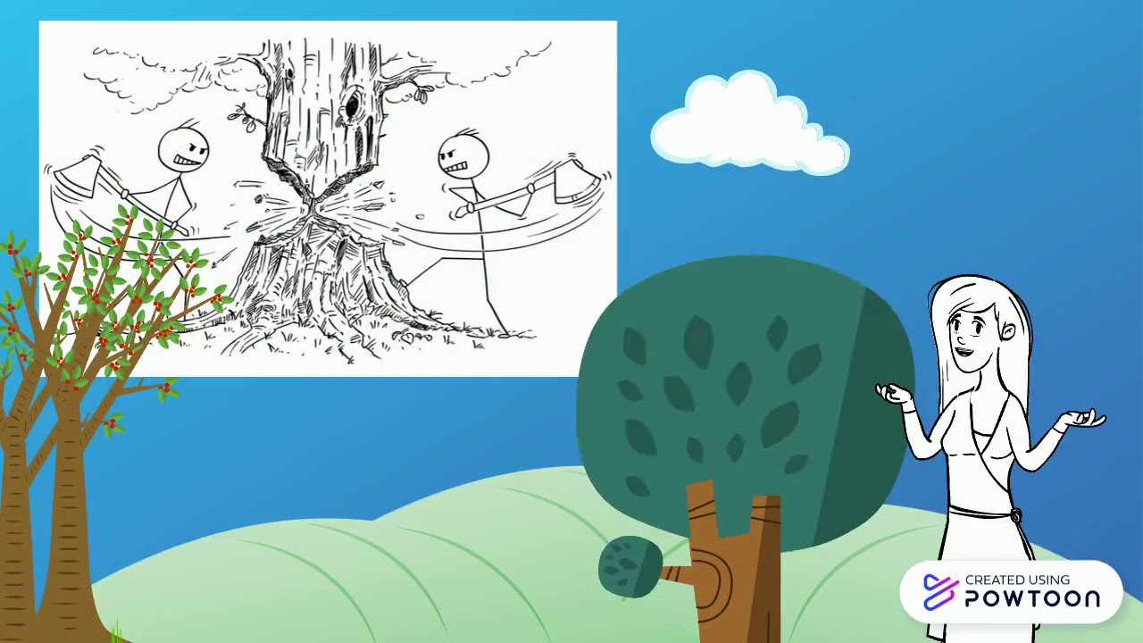 Why Learn Timber