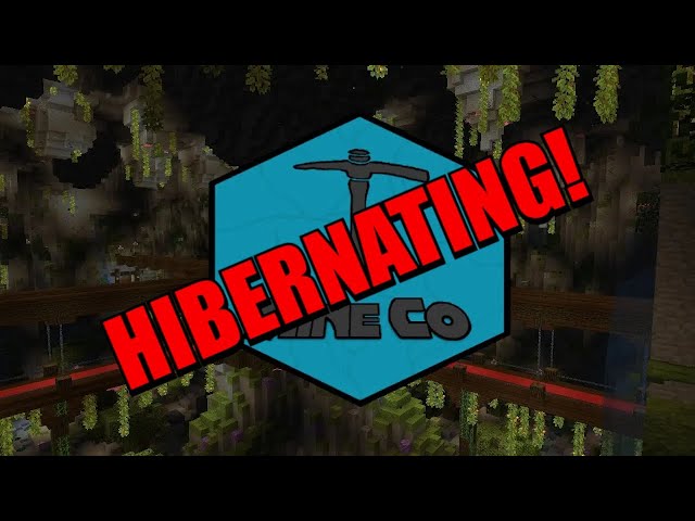 MineCO Minecraft Server