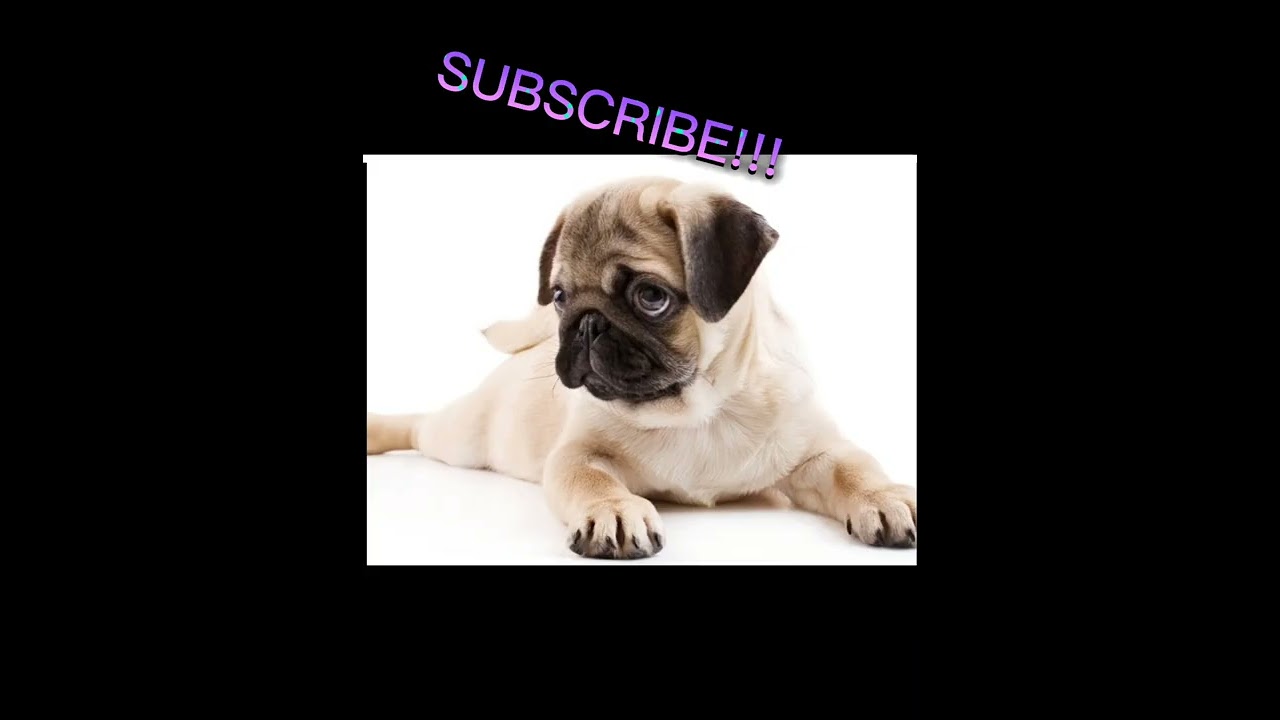 SCROLL,LIKE,OR SUBSCRIBE