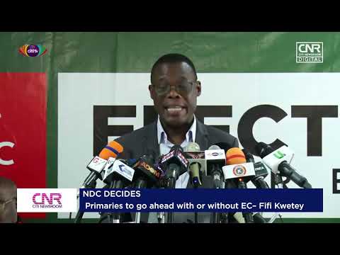 NDC Election Directorate to take full charge of primaries if EC is unable to supervise - Fifi Kwetey