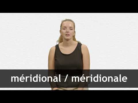 English Translation of “MÉRIDIONAL” | Collins French-English Dictionary