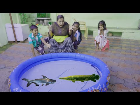 Aligator vs Shark Fight ?முதலை மீனும் Shark மீனும் சண்டை போட்டால் எப்படி இருக்கும் ??
