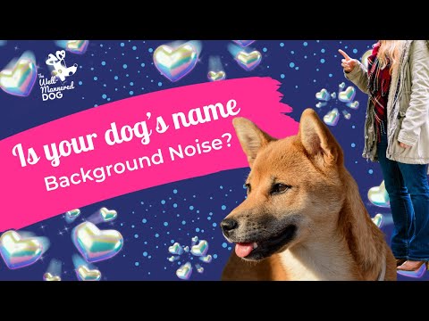 Misusing Your Dog's Name