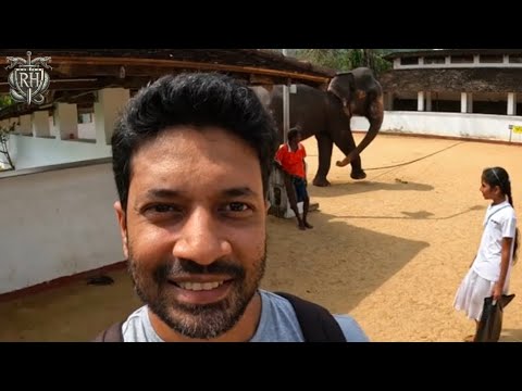 Revisiting History Sri Lanka | Maha Saman Devalaya #Temple #Buddhism #SriLanka #History #Elephant