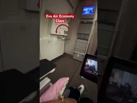 This is Economy Class of Eva Air. #shortvideo #travel #evaair