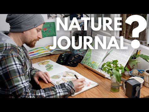 How Nature Journaling Can Change Your Life