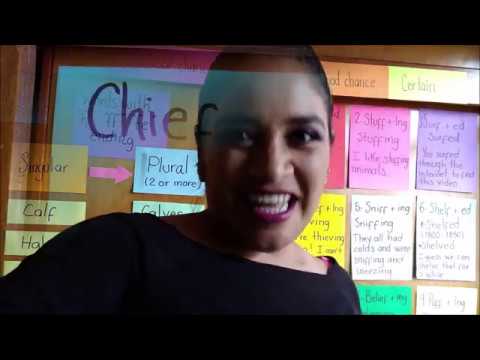 F, Ff, And Fe Words In Singular And Plural - F, Ff N Fe | Ms. Erika
