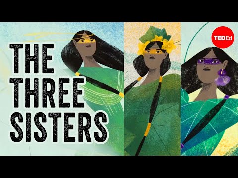 Rebecca Webster - How The Famous Three Sisters Survived | Music Video ...