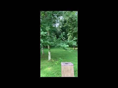 Native vs. non-native species -- introduction