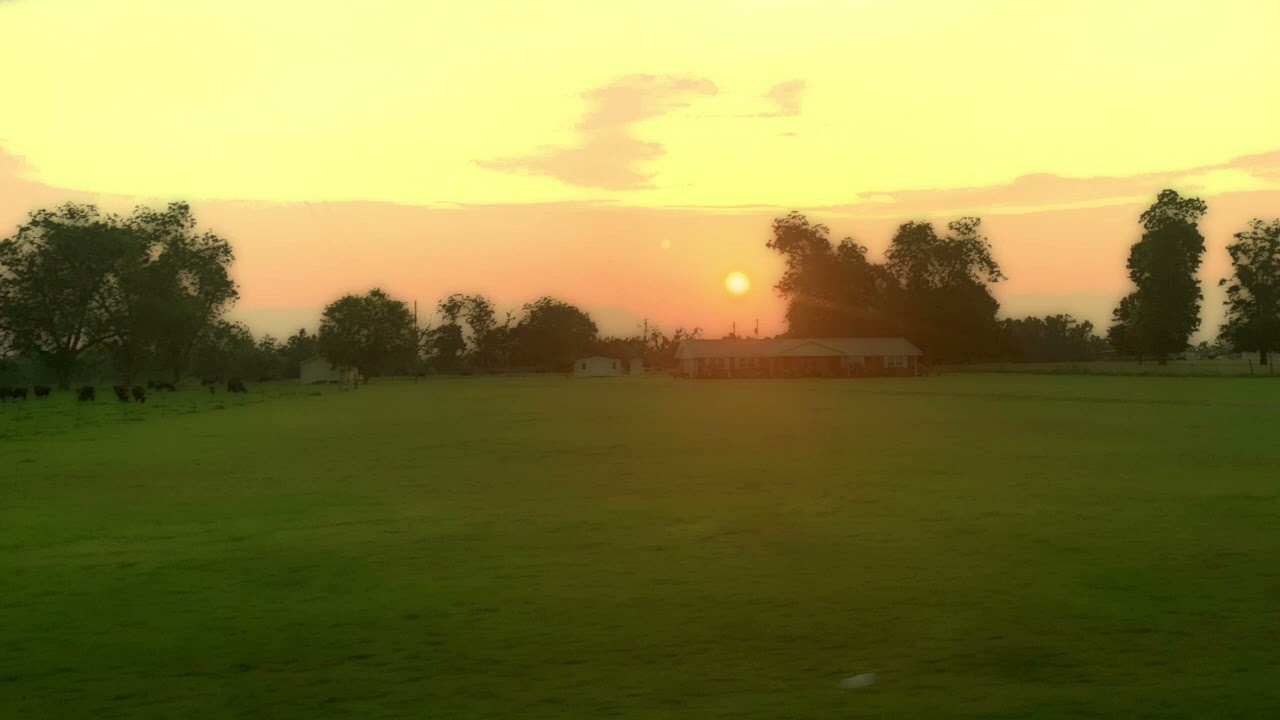 Bach: Cello Suite No. 1 in G Major, Prélude | Caleb Yang