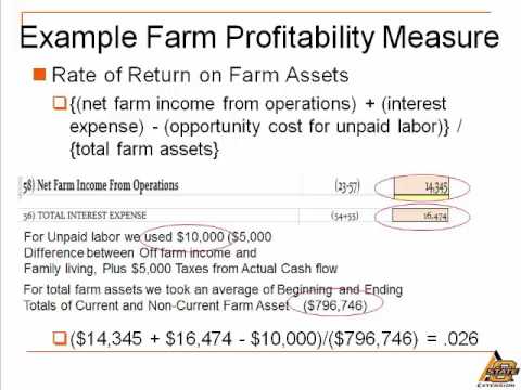 Evaluating Farm Financial Performance: Case Farm