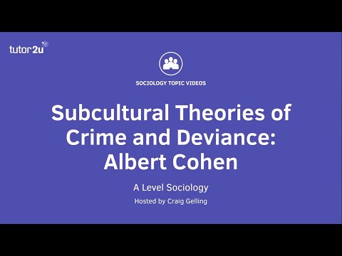 Subcultural Theories of Crime & Deviance - Albert Cohen | A Level Sociology