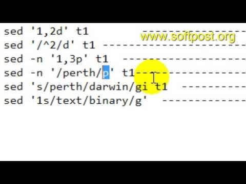 sed command examples in BASH shell terminal