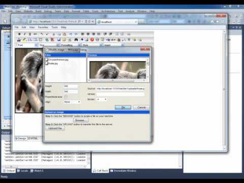 Getting Started with the Html Editor Control
