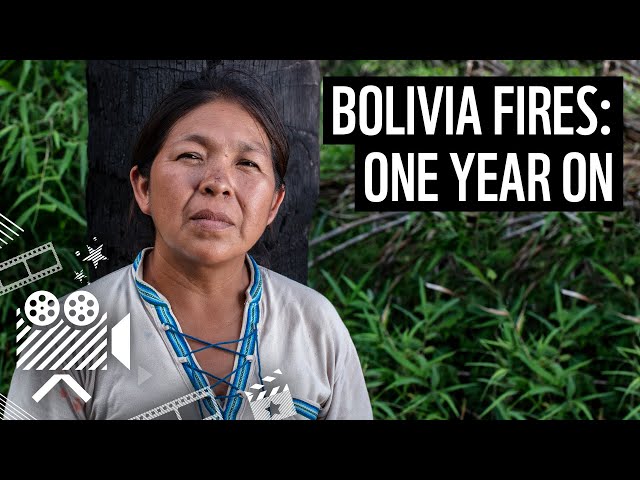 Bolivian Forest Fires: Causes and Fire Dynamics of the Bolivian Amazon