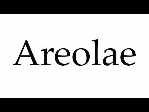 How to Pronounce Areolae