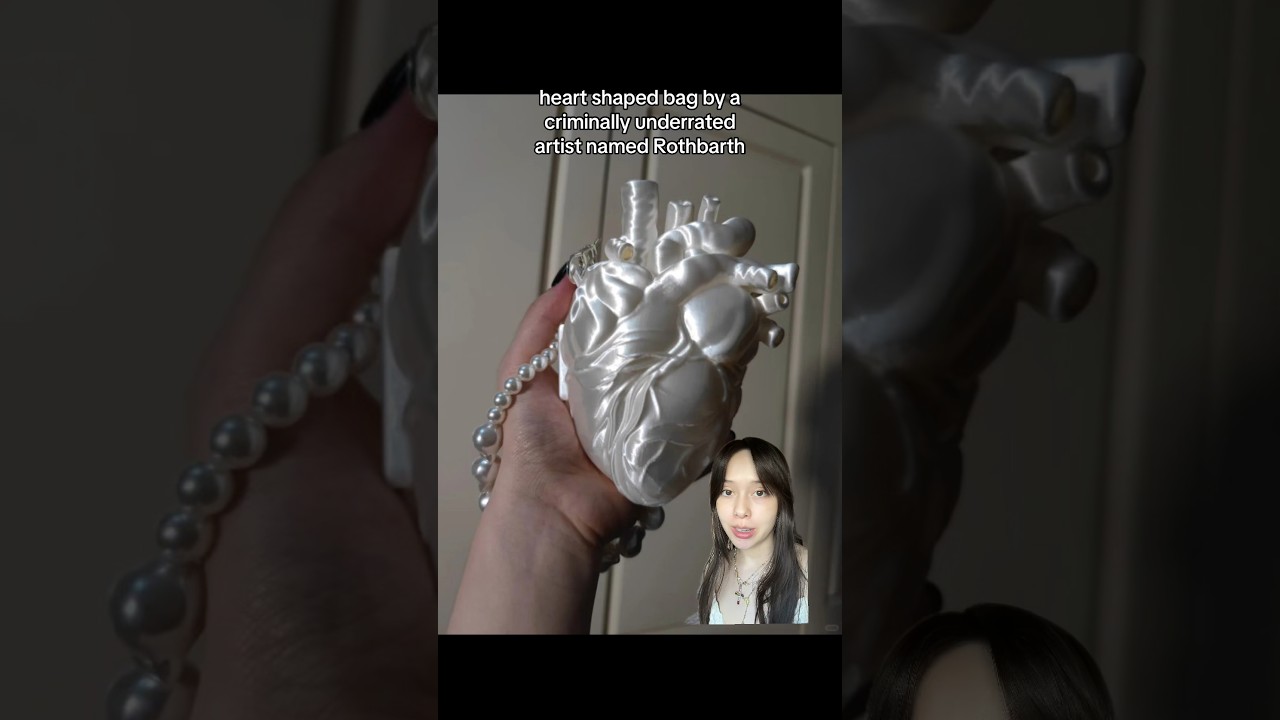 anatomical heart bag by underrated artist Rothbarth 🫀