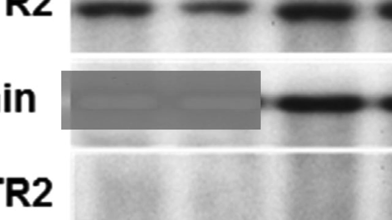 FD4CE0B478A93578193D2F18355356#3