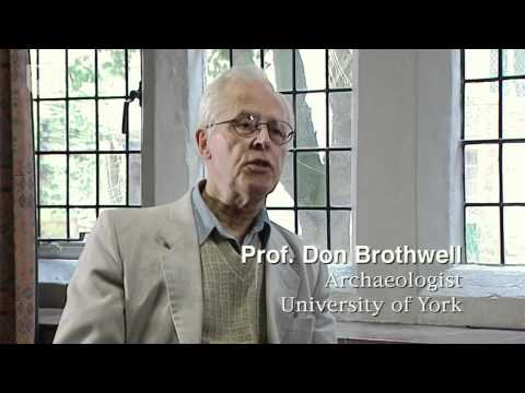 What Was the Great Pox? - Searching for Syphilis (1/6)