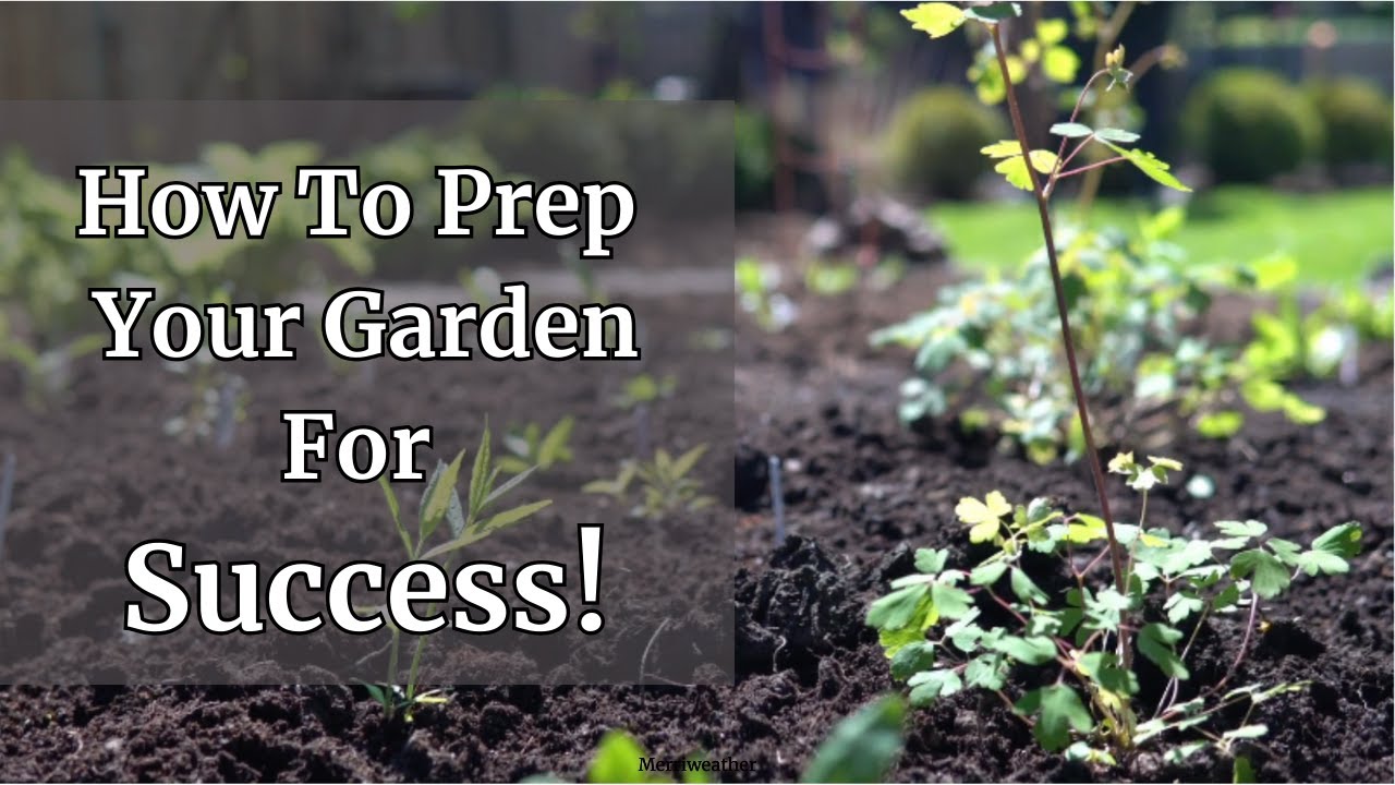 How To Prepare the Ground for Planting Native Plants  #gardeningtips  #nativeplants #gardening