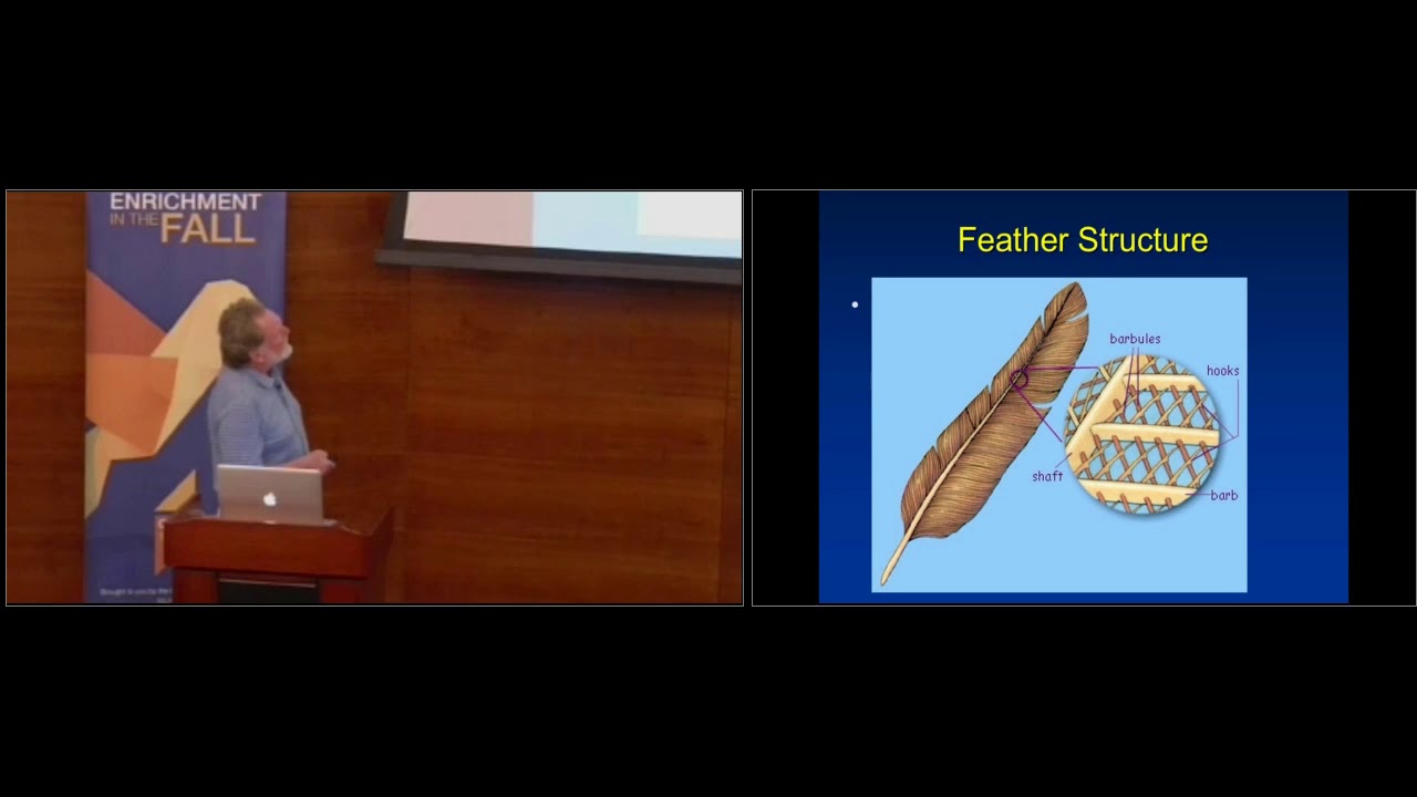 Ornithology and the Birds of the Middle East