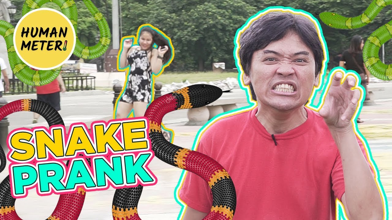 Snake Prank: Watch The Funniest Reactions | HumanMeter