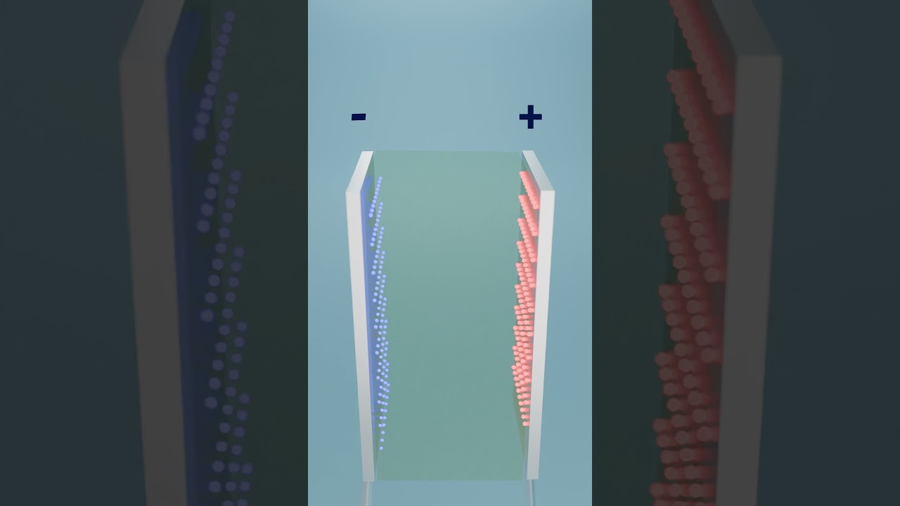 What’s Inside a Capacitor? : Explained in 60 Seconds