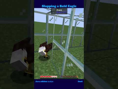 Minecraft: Slapping Alex's Bald eagle - FBI plz it's only a game!