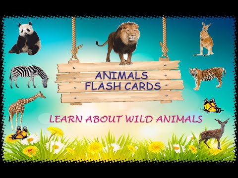 Wild animals for kids to learn | Educational video | Talking flash cards