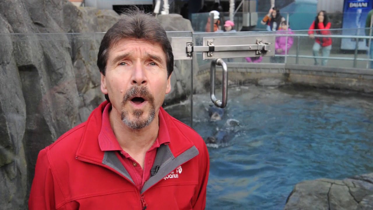 Fun facts about the otter