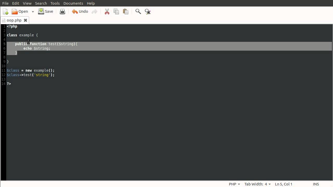 PHP Basics: Classes and Objects