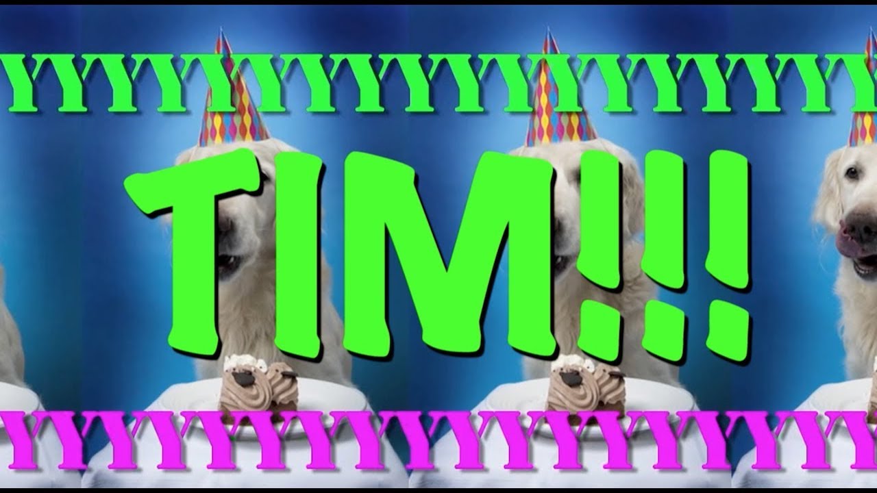 HAPPY BIRTHDAY TIM! - EPIC Happy Birthday Song
