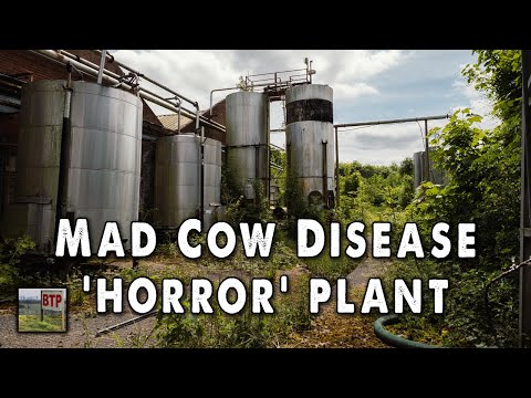 Derelict Cattle Processing Plant