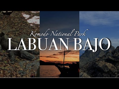 What to Expect: Labuan Bajo × Komodo National Park | Cinematic Travel Film #Highlights #TravelVideo