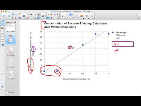 Criterion C Lab Reports & Exemplar