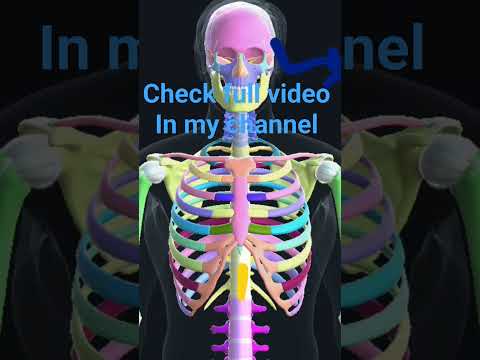 all bones anaotmy in tamil. #physiotamil
