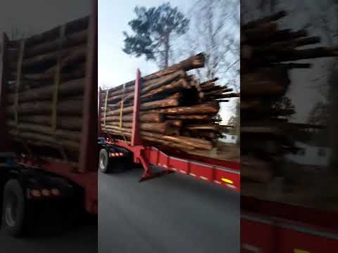 Day boys trucking
