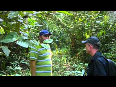 MSUToday: Exploring the Amazon