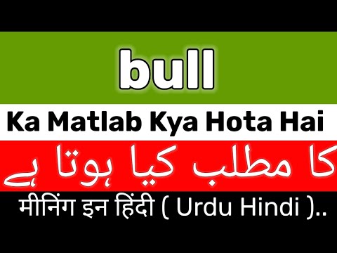 Bull Meaning | Bull Meaning In Urdu/Hindi | Bull Ka Matlab Kya Hota Hai | Bull Meaning Kya Hai