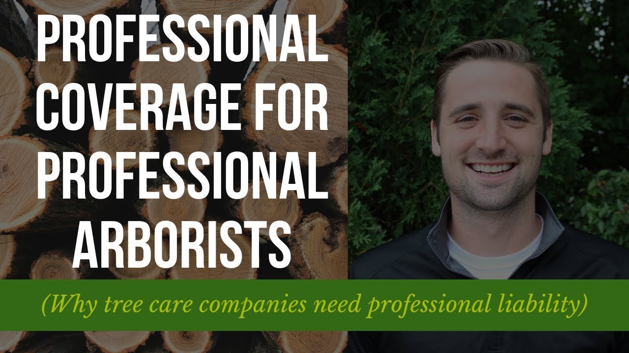 Why Tree Care Companies Need Professional Liability