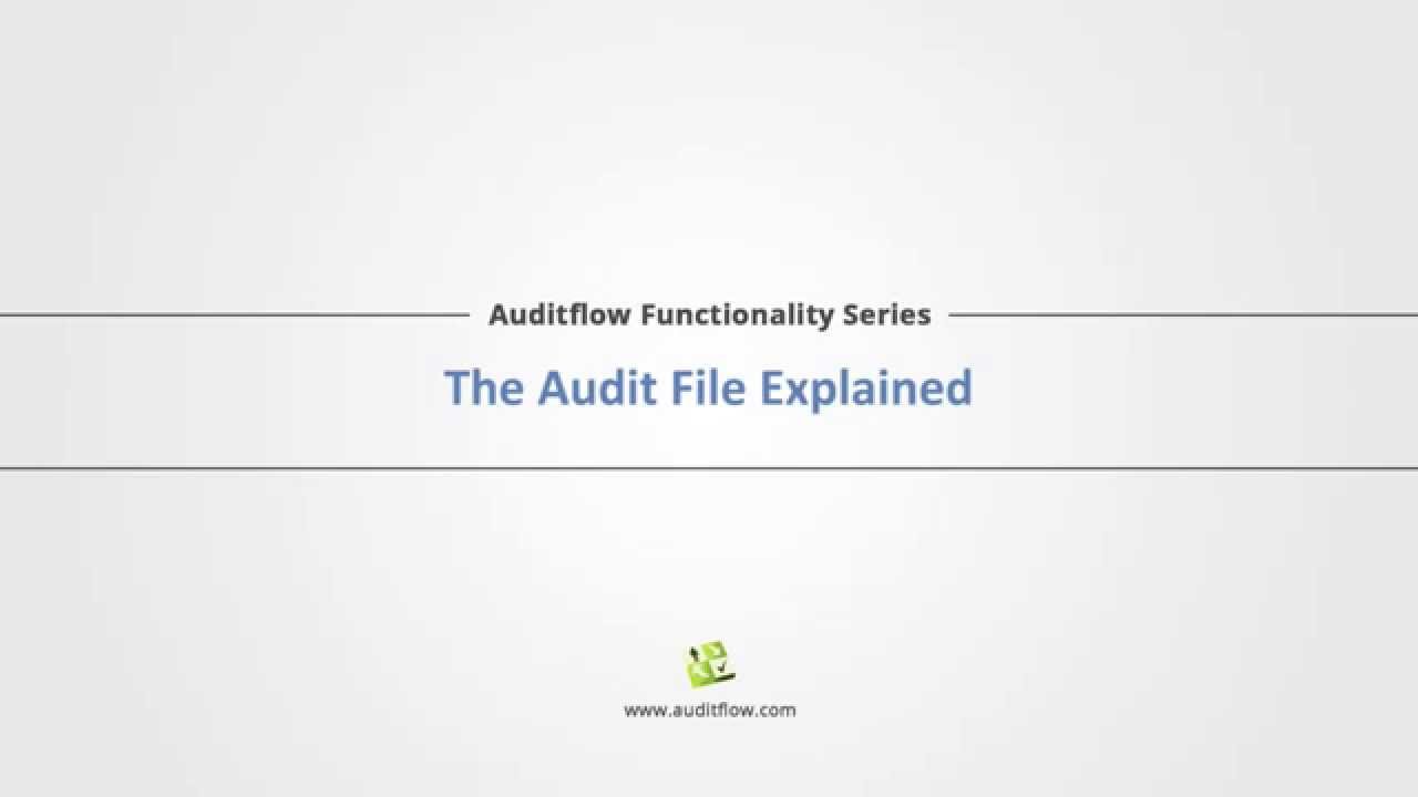 The Audit File Explained