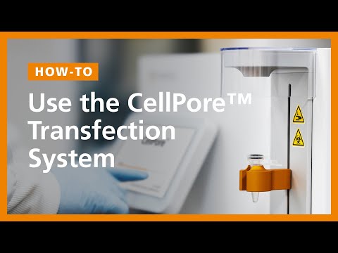 How to Use the CellPore™ Transfection System
