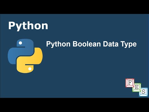 Python Boolean Data Type