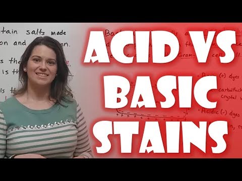 Acidic vs. Basic Stains in Microbiology