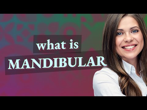 Mandibular | meaning of Mandibular