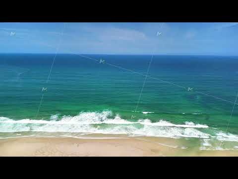 The Serene Beach Waves Softly and Gently Crash Against the Lovely Clear Blue Sky Above You
